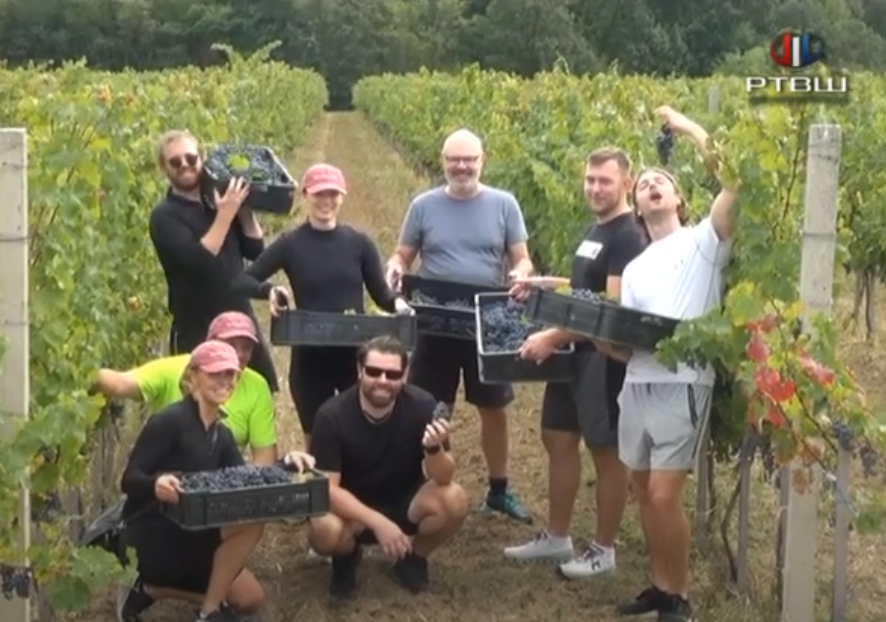 Grupa Švedjana juče u vinogradima Tomković u Banji – Radio-Televizija Šumadija – Aranđelovac